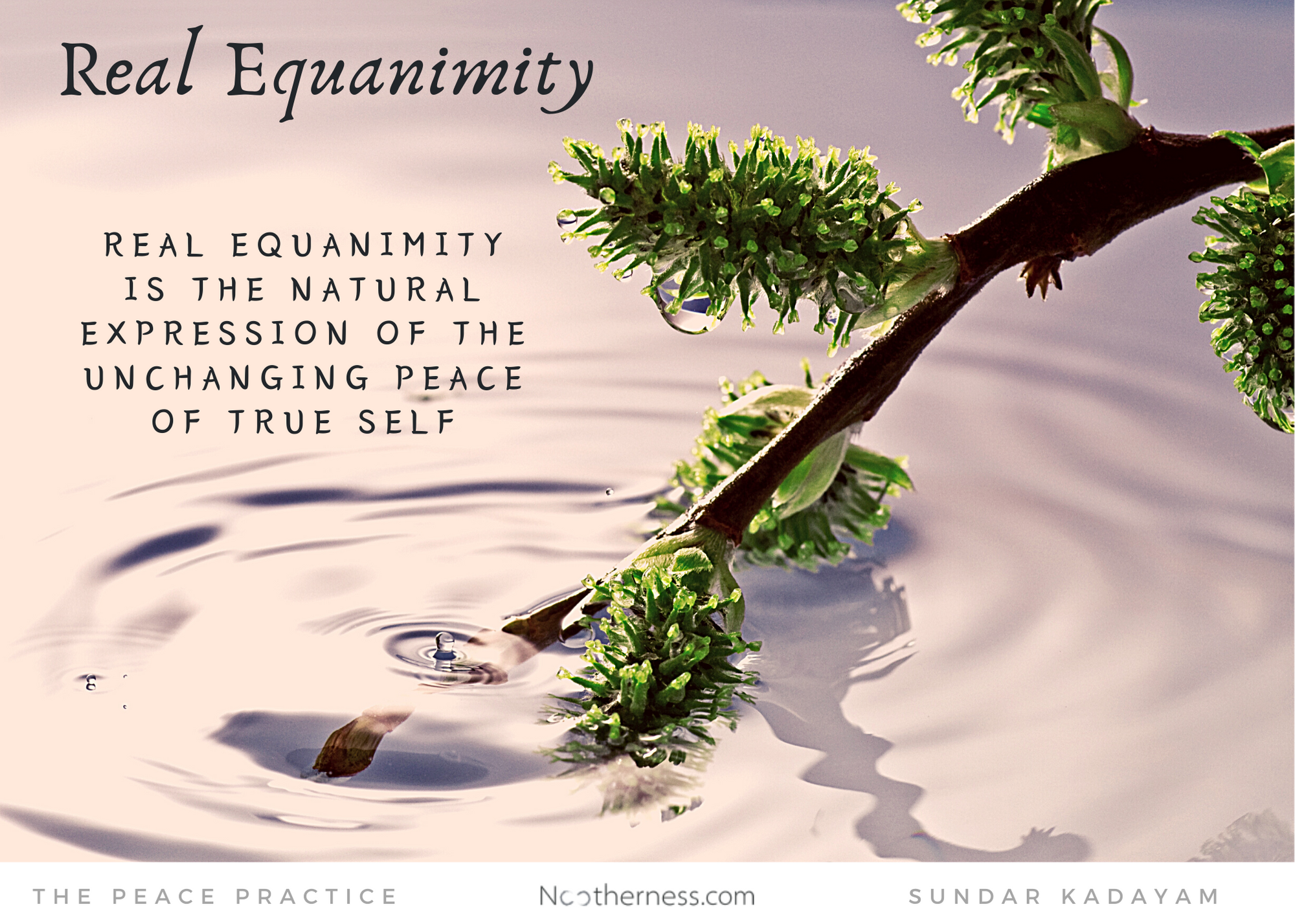 Real Equanimity – No-otherness