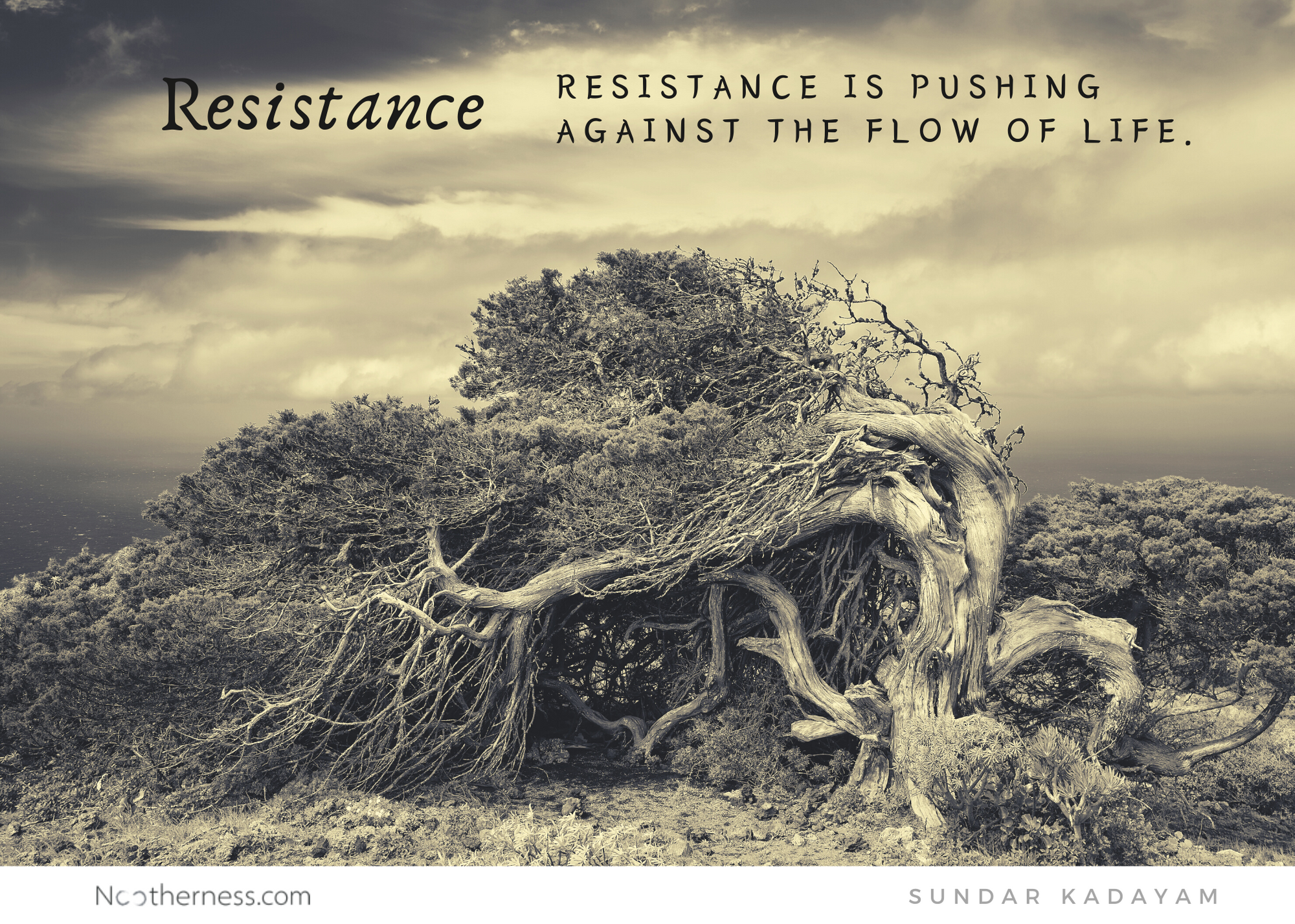 How To Let Go Of Resistance – No-otherness